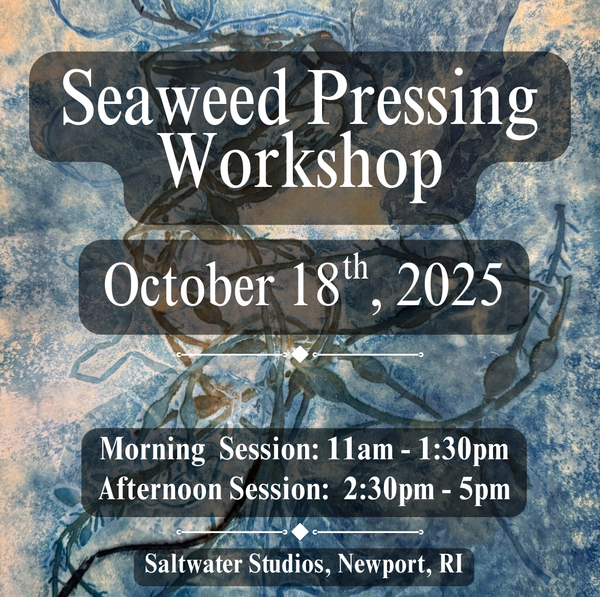 Workshops - Saltwater Studio Newport